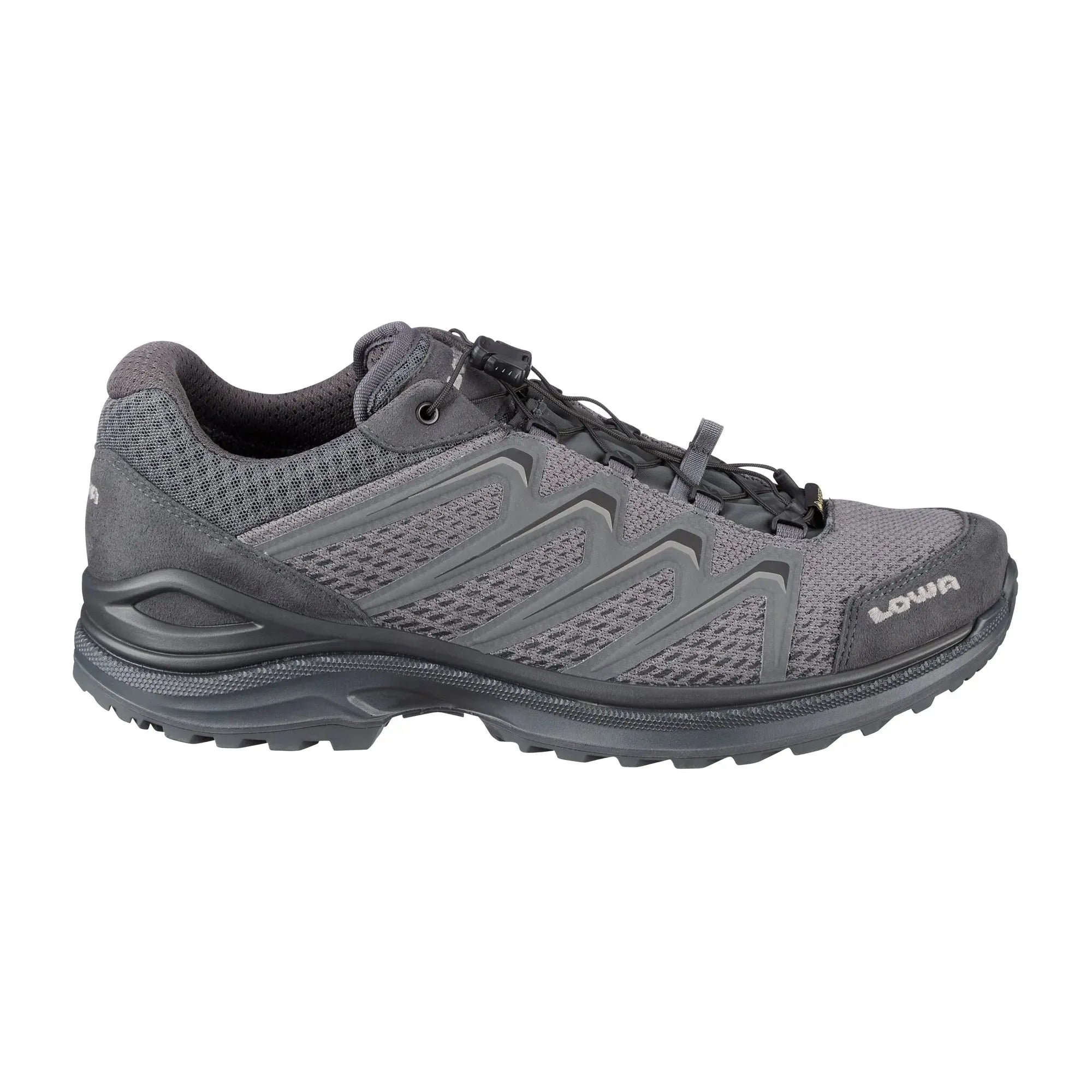 LOWA Schuh Maddox GTX Lo TF wolf bei ASMC kaufen